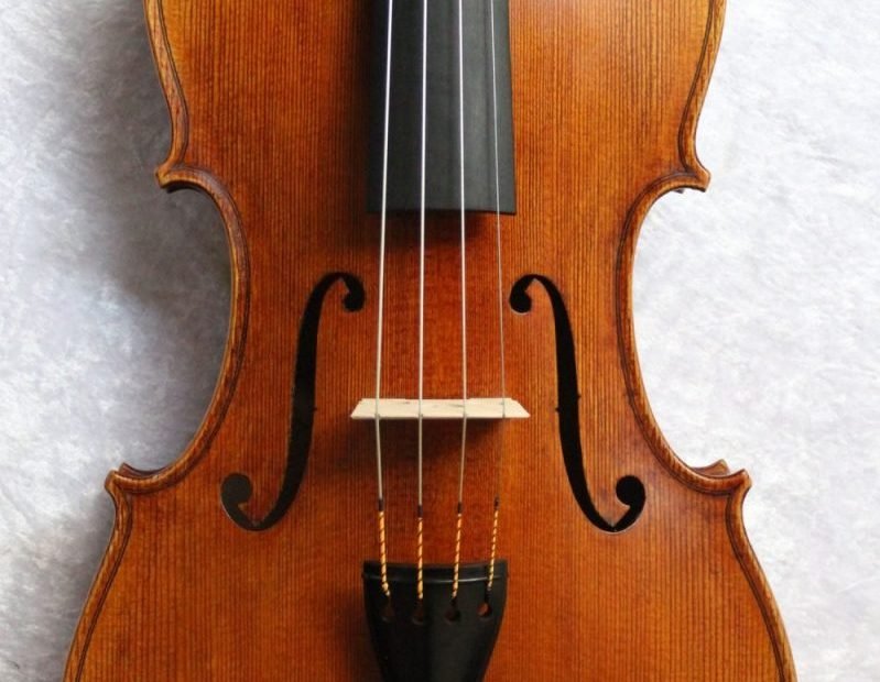 ¿Qué es la viola? - Mundo Violas